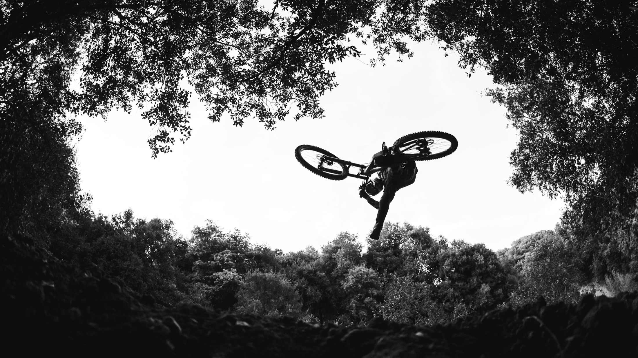 Thomas Genon & Canyon present: Renaissance - Whistlermountainbike.com